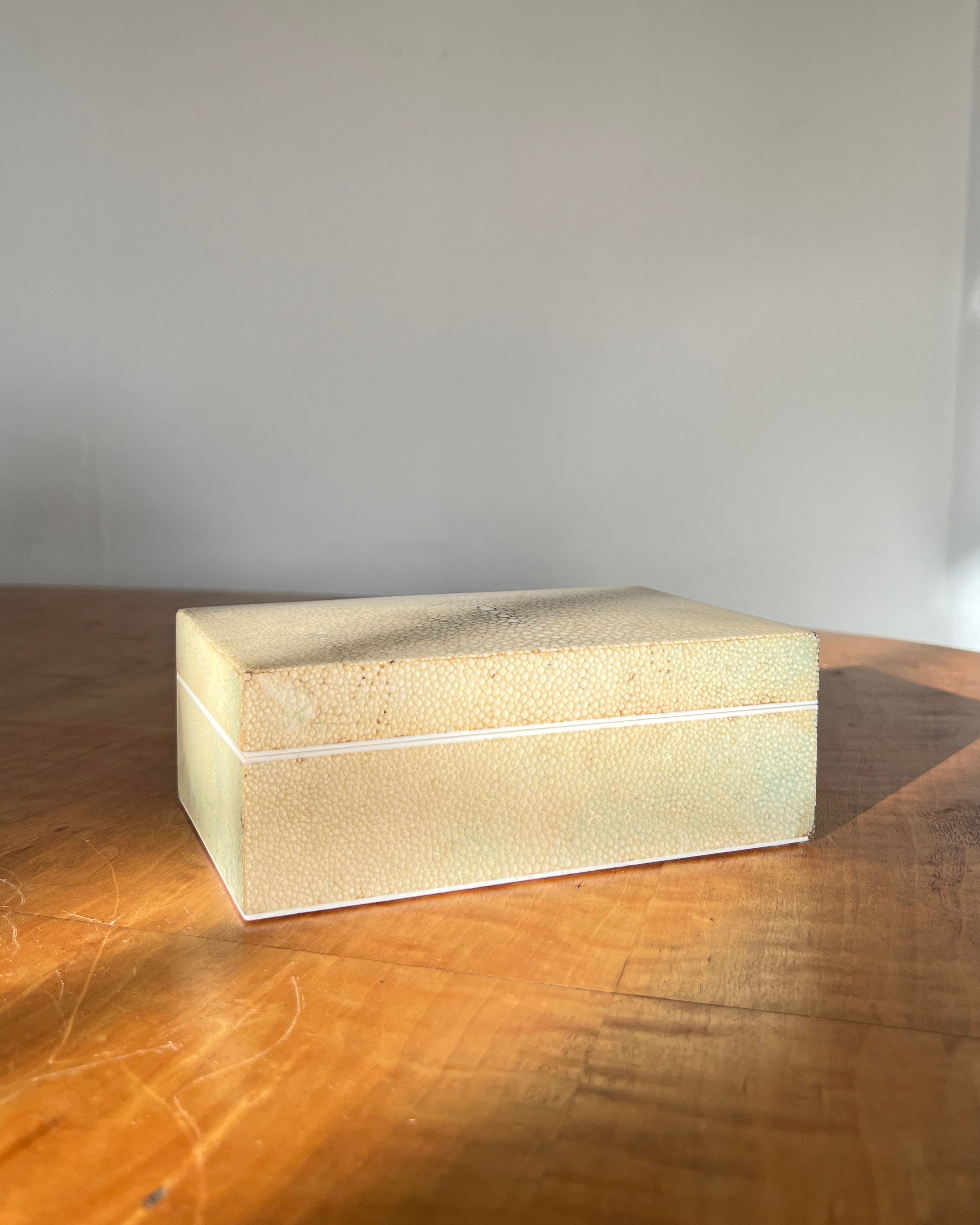 Shagreen Box – hellethygesen.com