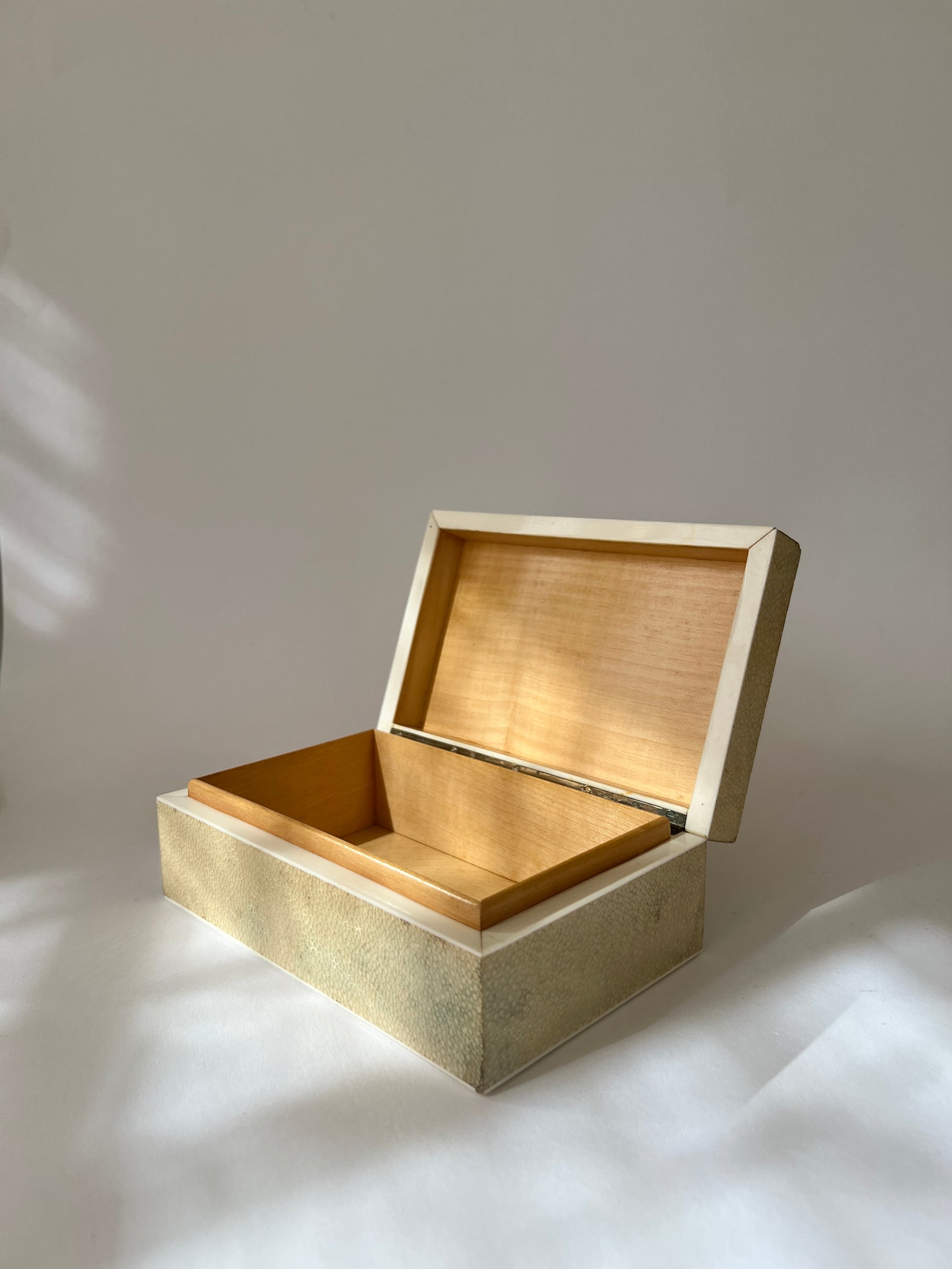 Shagreen Box – hellethygesen.com