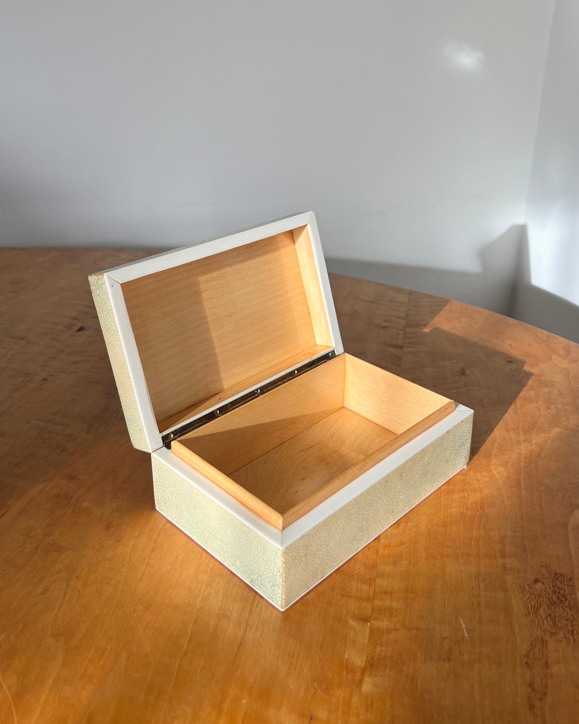 Shagreen Box – hellethygesen.com