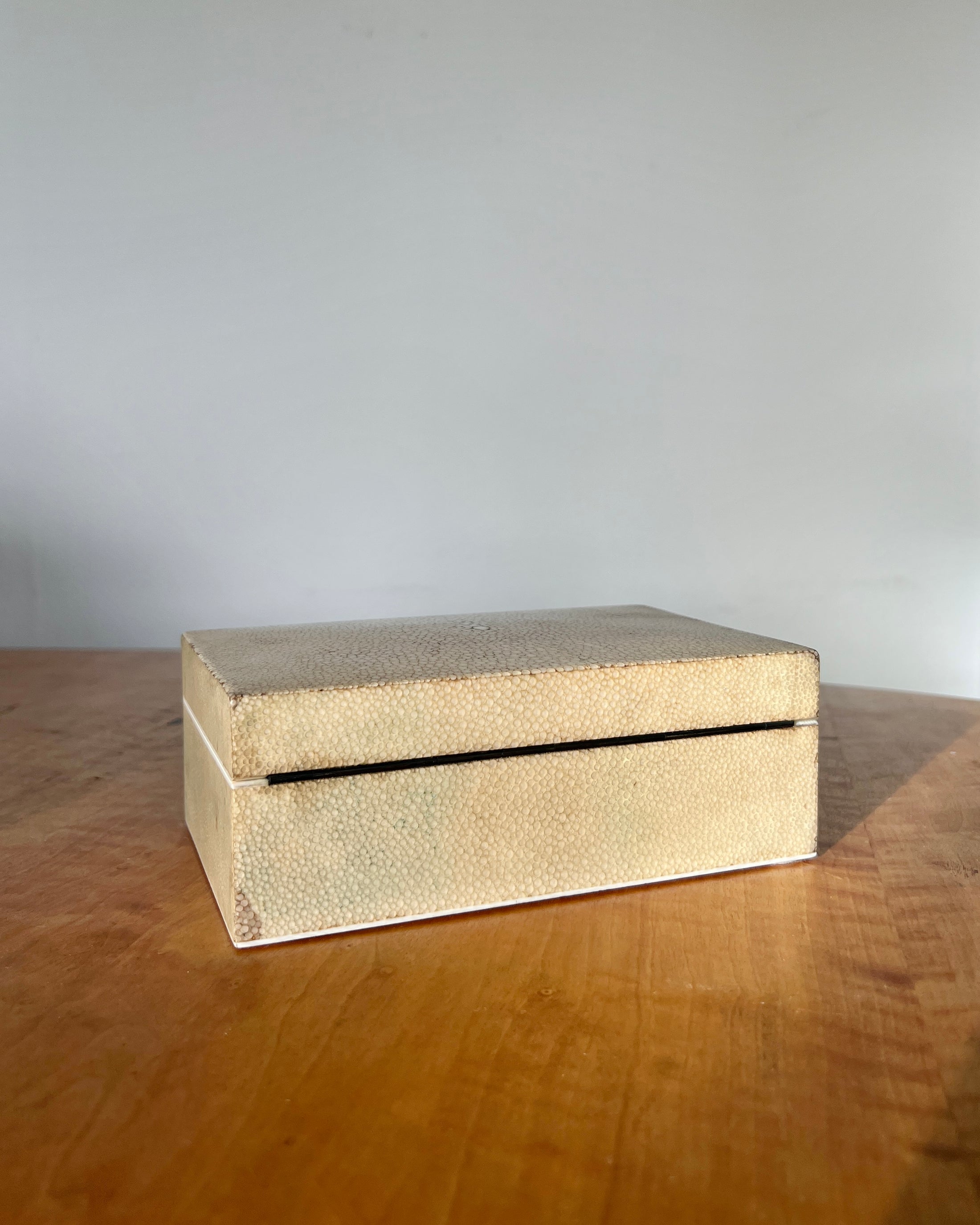 Shagreen Box – hellethygesen.com